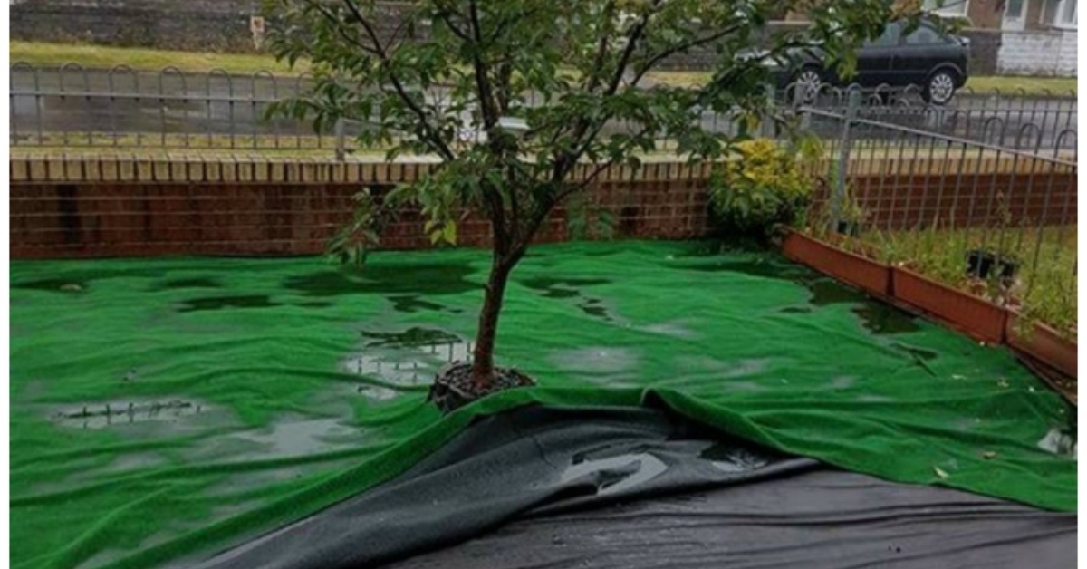 35+ Worst Garden Trends and Designs to Avoid